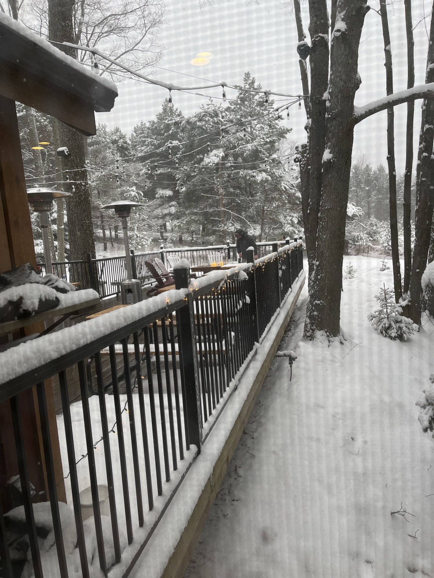 It’s improving - Coyote Crossing