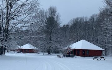 Snowing!! - Coyote Crossing